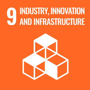 Cassava Technologies - A Pan-African Technology Leader