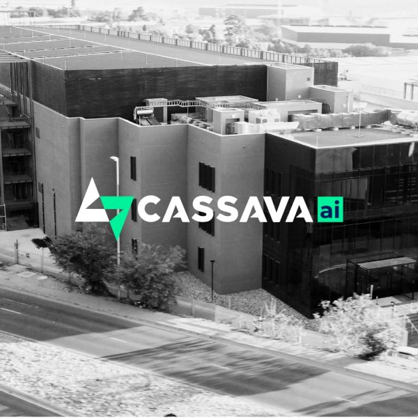 Cassava Technologies launches its own AI business unit, Cassava AI ...